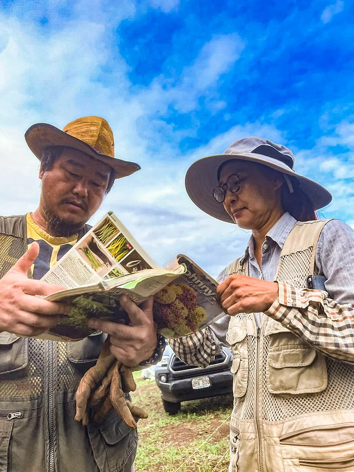 Meet your Producers: Green Farm — DA BOX Community Supported ...