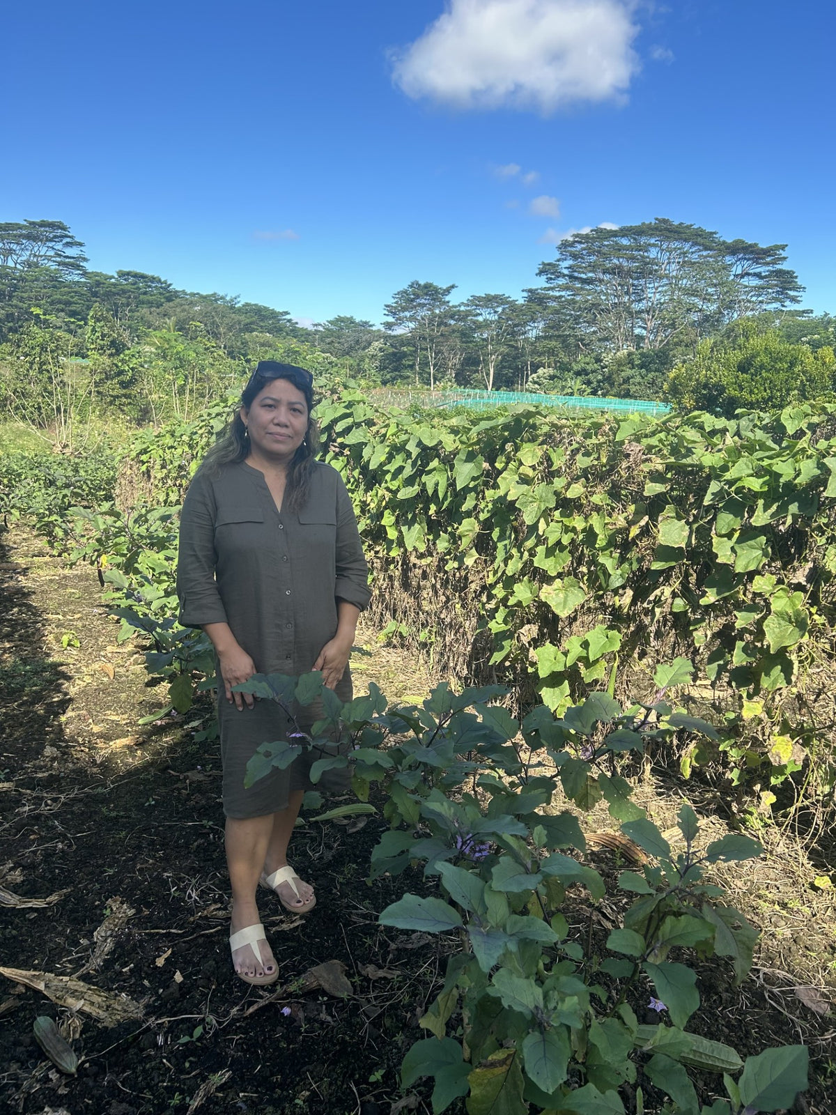 Meet Your Producer: Cherlene Bombay — DA BOX Community Supported ...